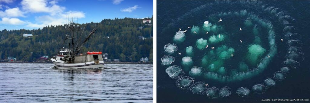 #OceanHour Session 2: Biomimicry - Innovation Inspired by Nature - 11th ...